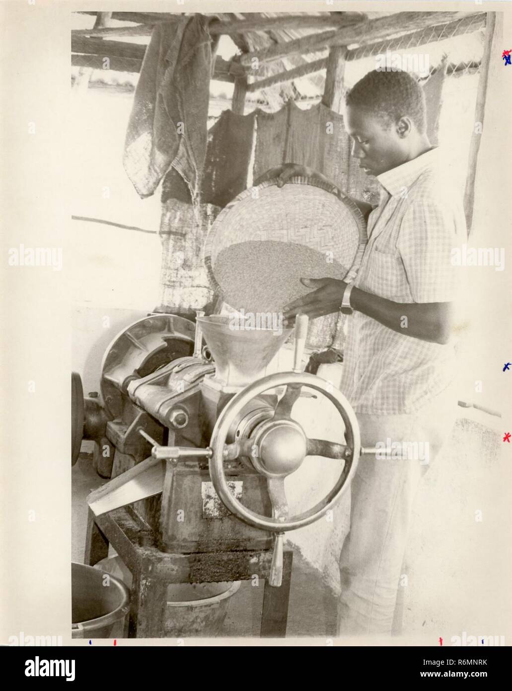 Man pouring grain into a machine Stock Photo - Alamy