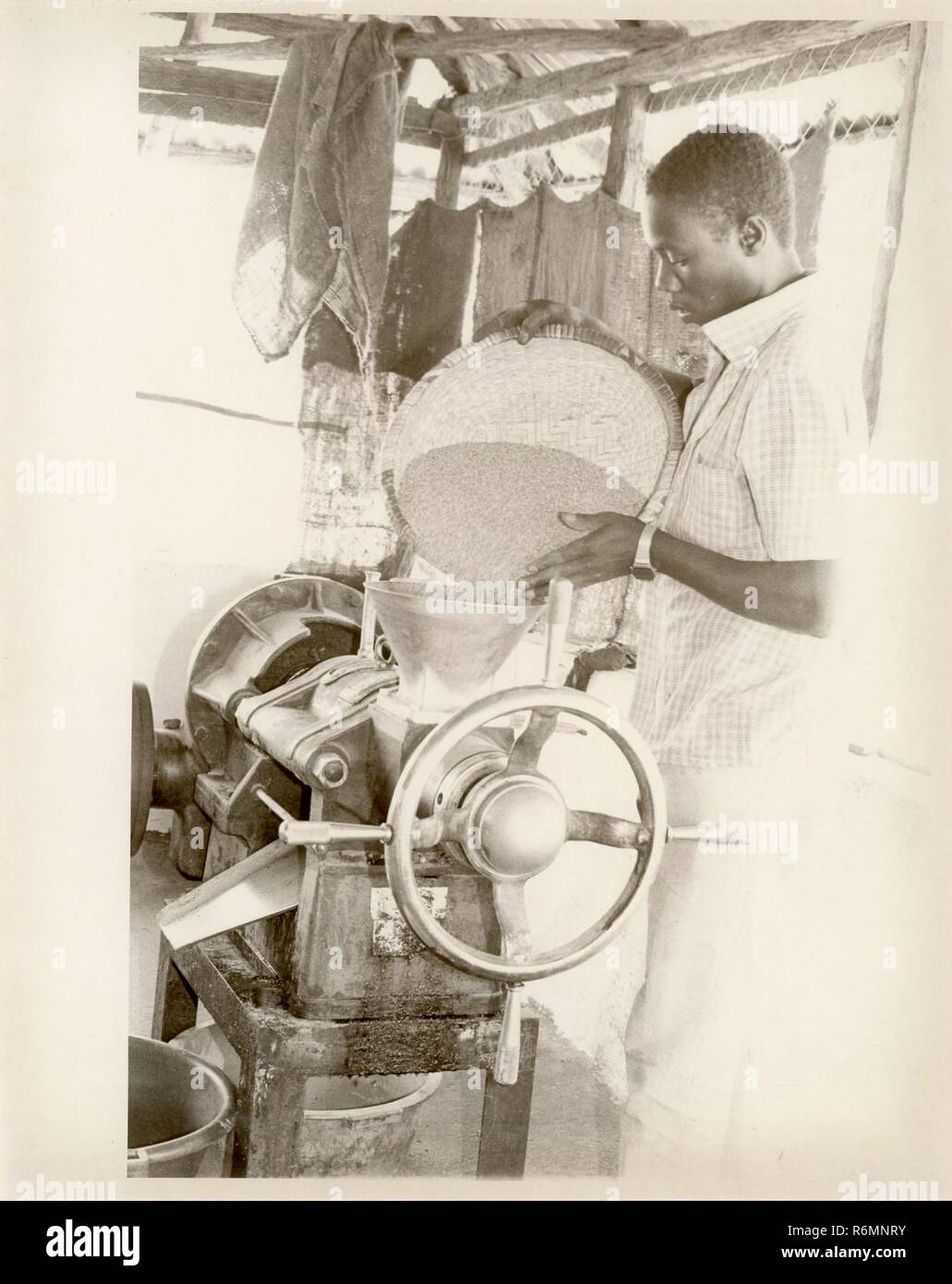 A man pouring grain into a machine Stock Photo - Alamy