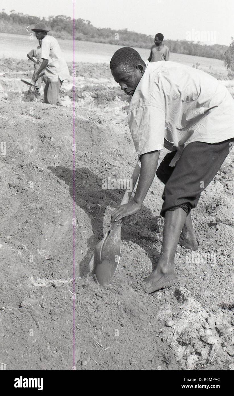 Local digging in the ground Stock Photo - Alamy