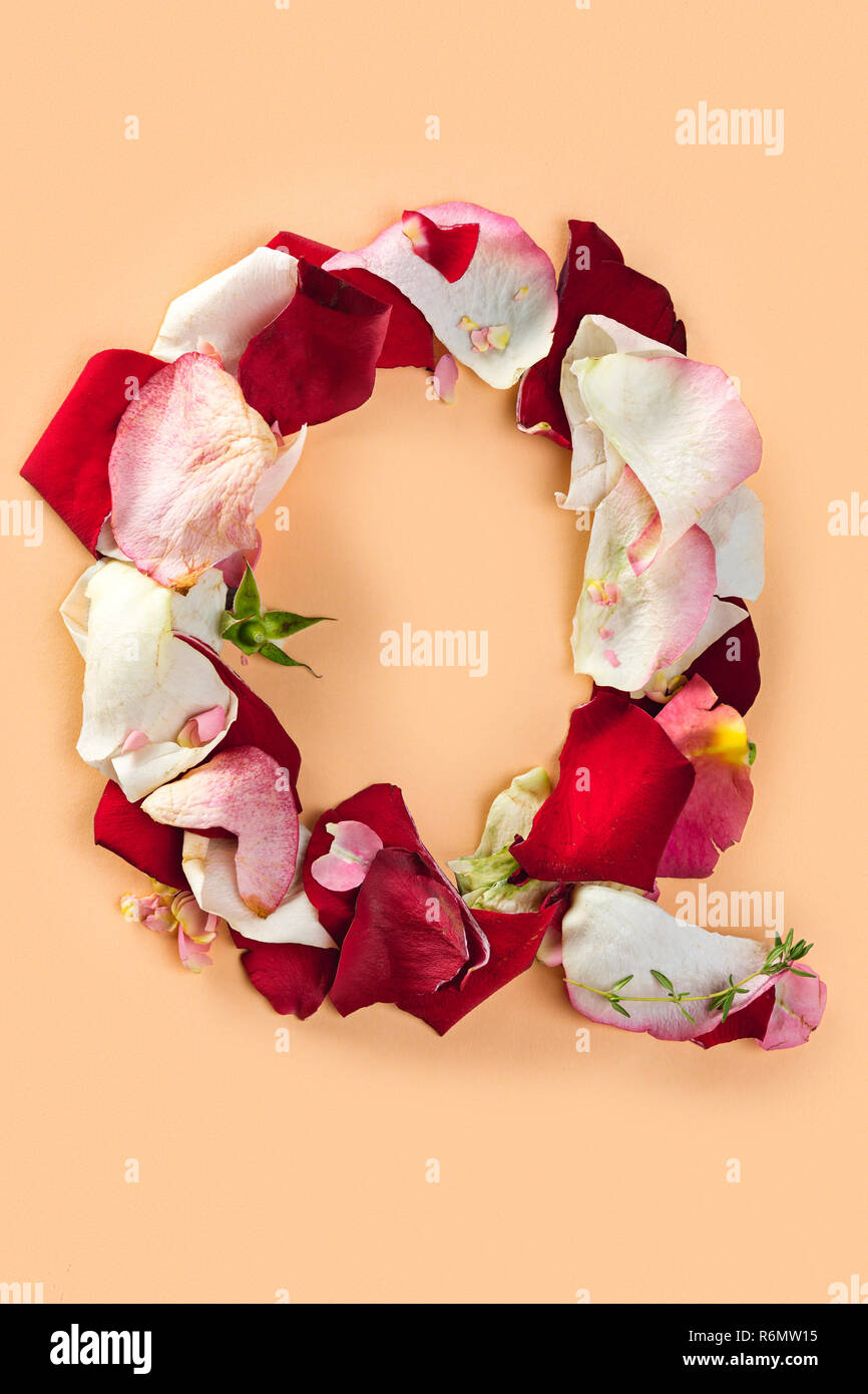 Letter Q made from red roses and petals isolated on a white background ...
