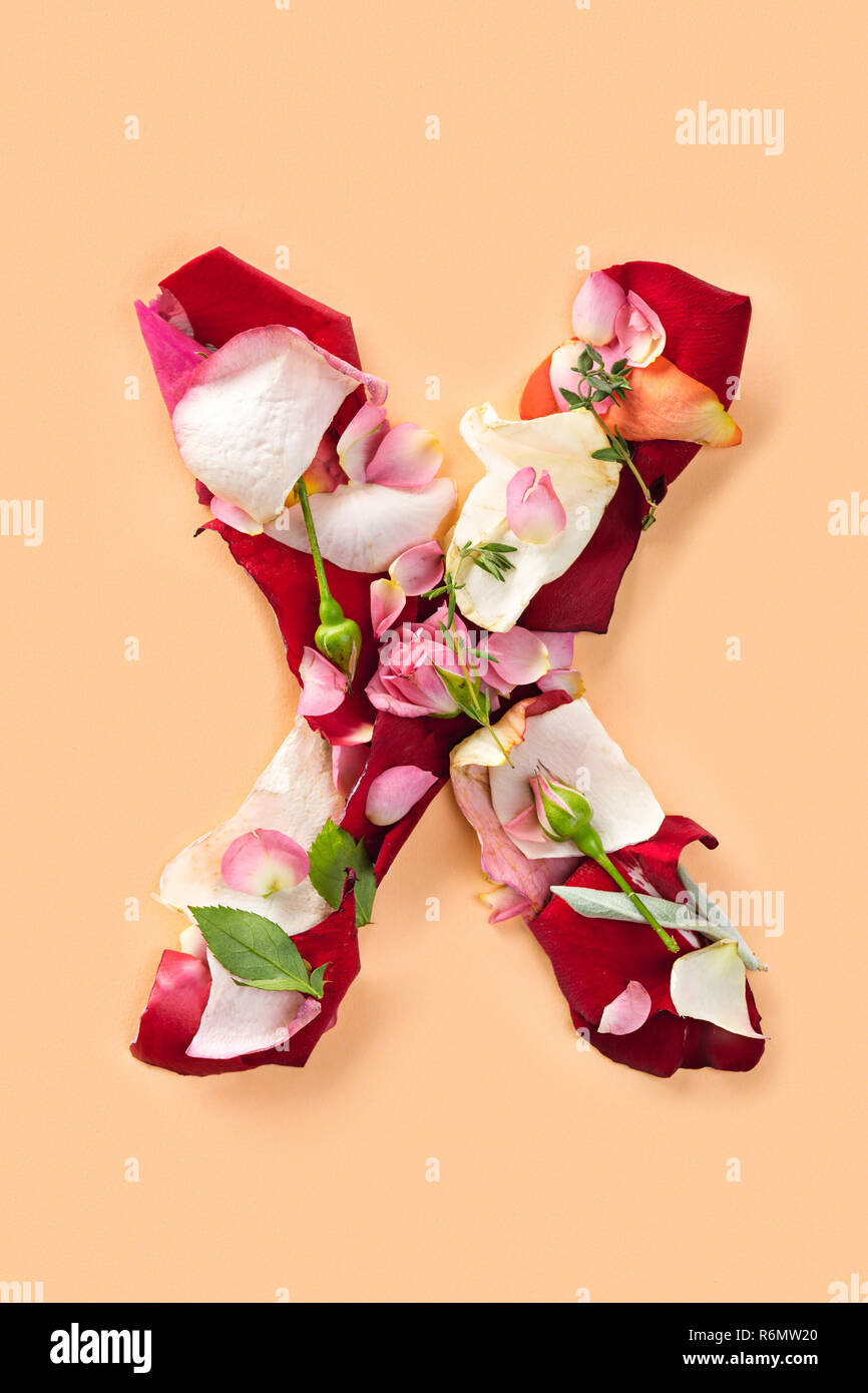 Letter X made from red roses and petals isolated on a white background ...