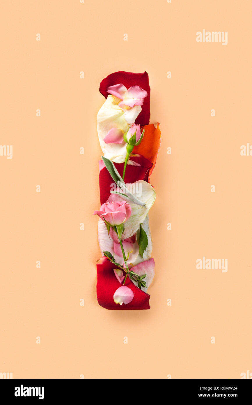 Letter I made from red roses and petals isolated on a white background ...