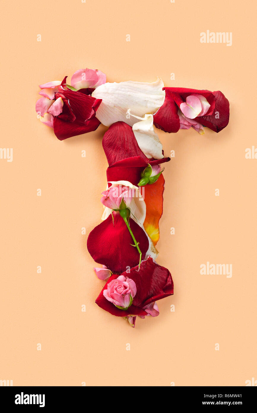 Letter T made from red roses and petals isolated on a white background ...