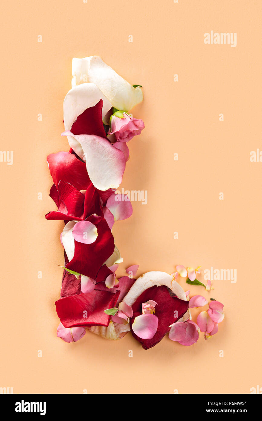 Letter L made from red roses and petals isolated on a white background ...