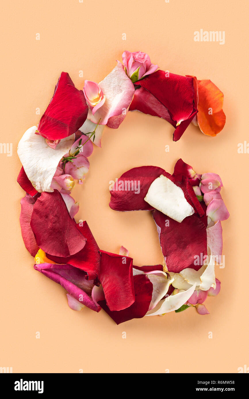 Letter G made from red roses and petals isolated on a white background ...