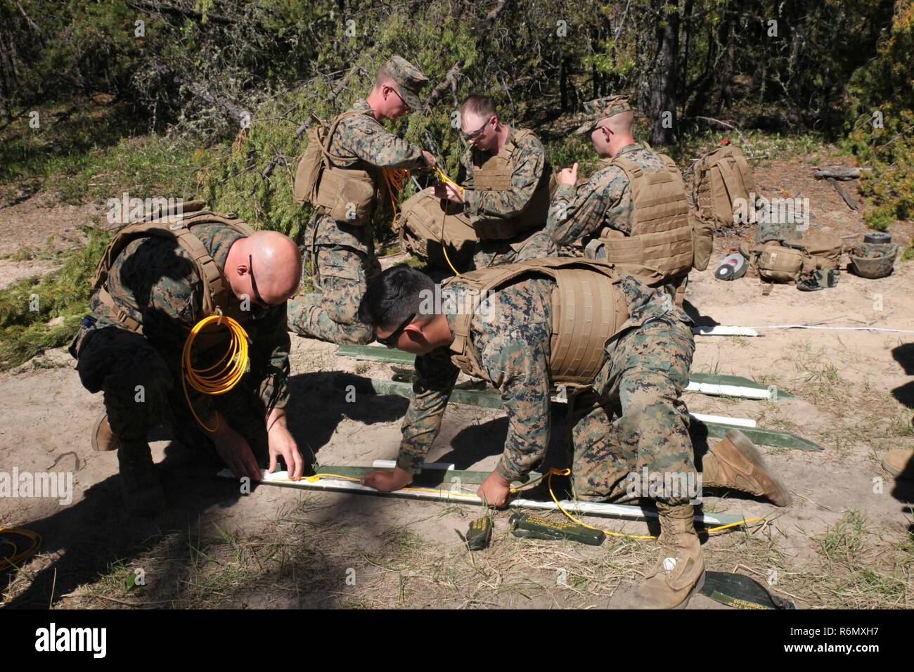 COLD LAKE, AB, CANADA – Marines with Engineer Company, Detachment Bravo ...