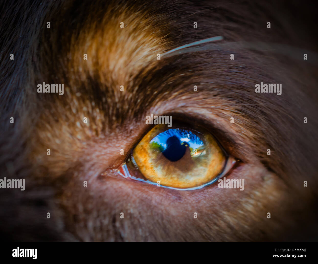 Color Blindness High Resolution Stock Photography and Images - Alamy