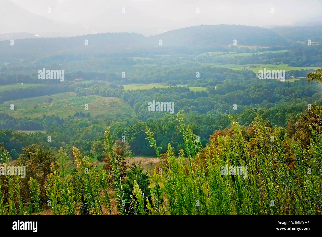 Fog descends over the Lower Tennessee Valley Aug. 3, 2010. The view is ...