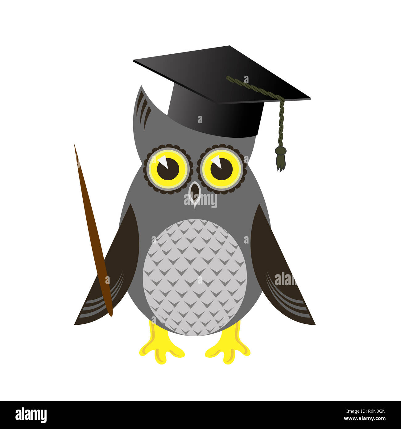 Cute Owl Bird with Graduation Cap Stock Photo - Alamy