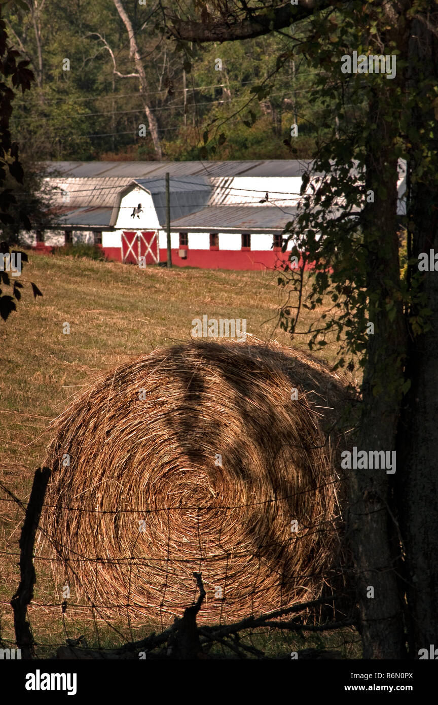 Hay bale barn hi-res stock photography and images - Alamy