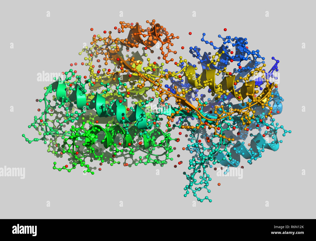 Actin structure hi-res stock photography and images - Alamy