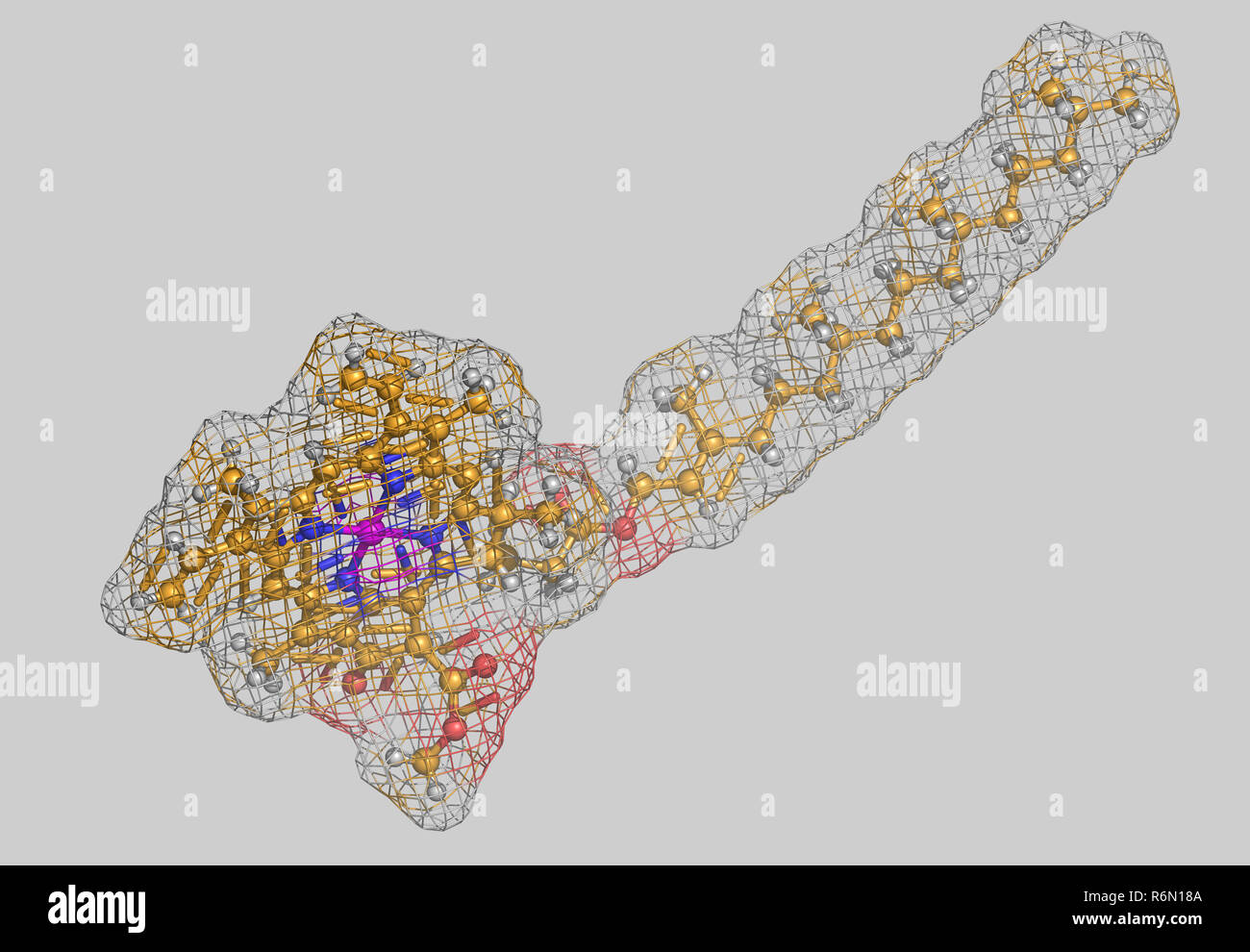 chlorophyll molecular model Stock Photo - Alamy