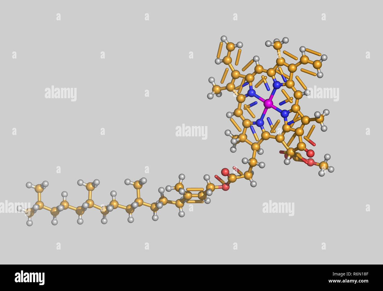 chlorophyll molecular model Stock Photo - Alamy