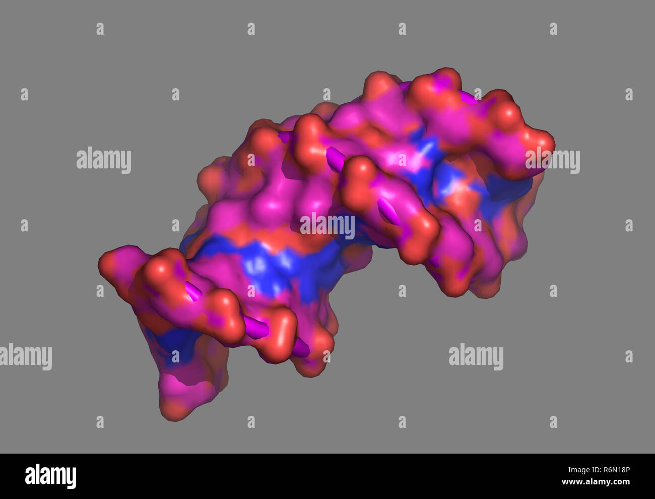 dna molecule model Stock Photo - Alamy