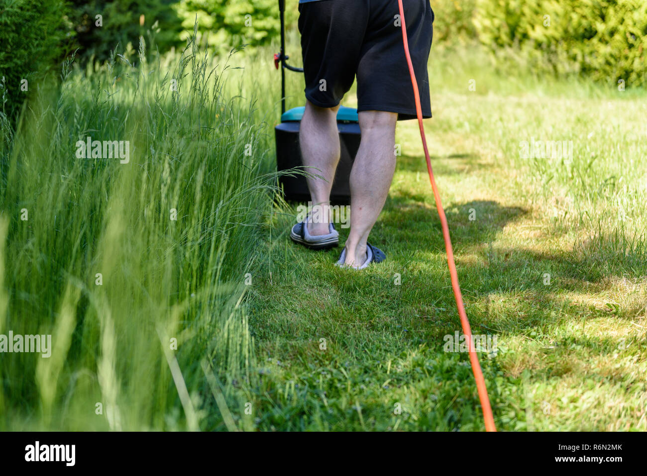 Man cutting grass with an electro lawnmower in his garden Stock Photo ...
