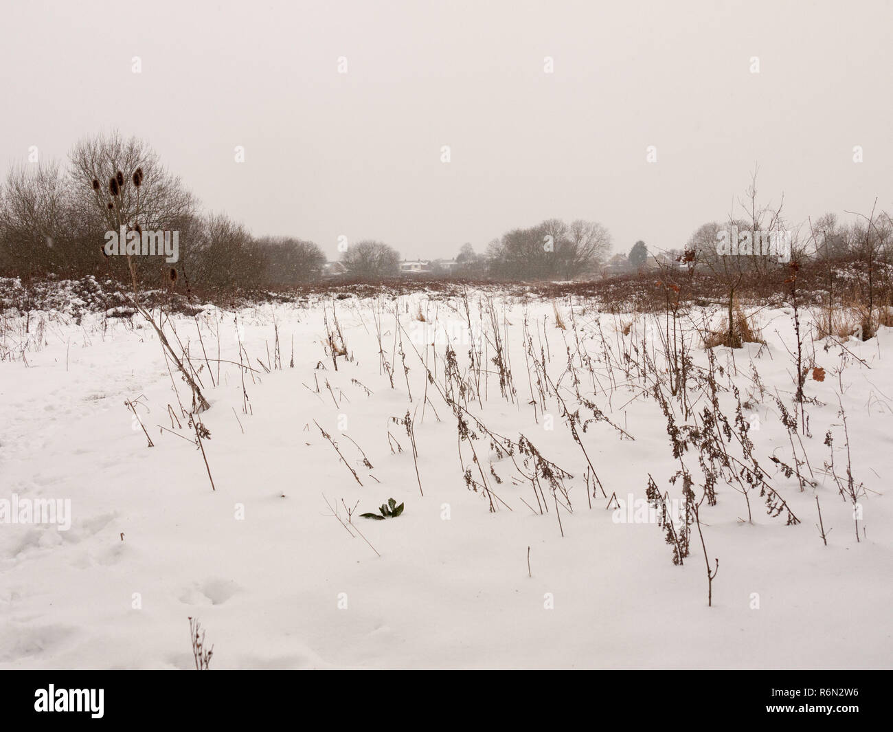 Horizontal scenic scenery outlook beautiful rural outside hi-res stock ...