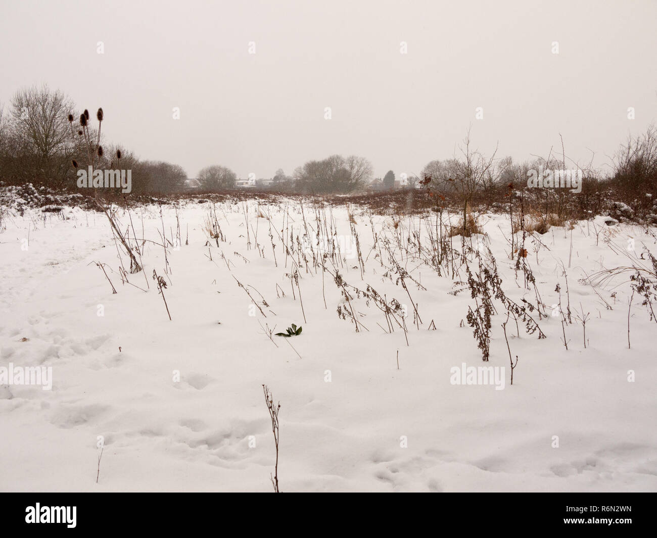 snow covered field meadow outside uk nature white winter field Stock ...