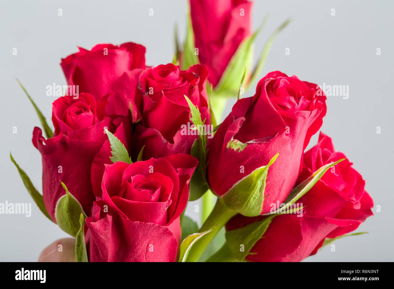 bouquet fresh red roses Stock Photo - Alamy