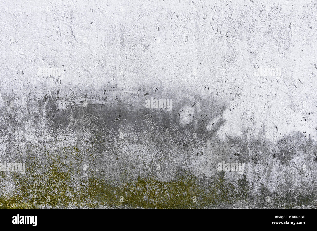 Dirty wall with mold Stock Photo - Alamy