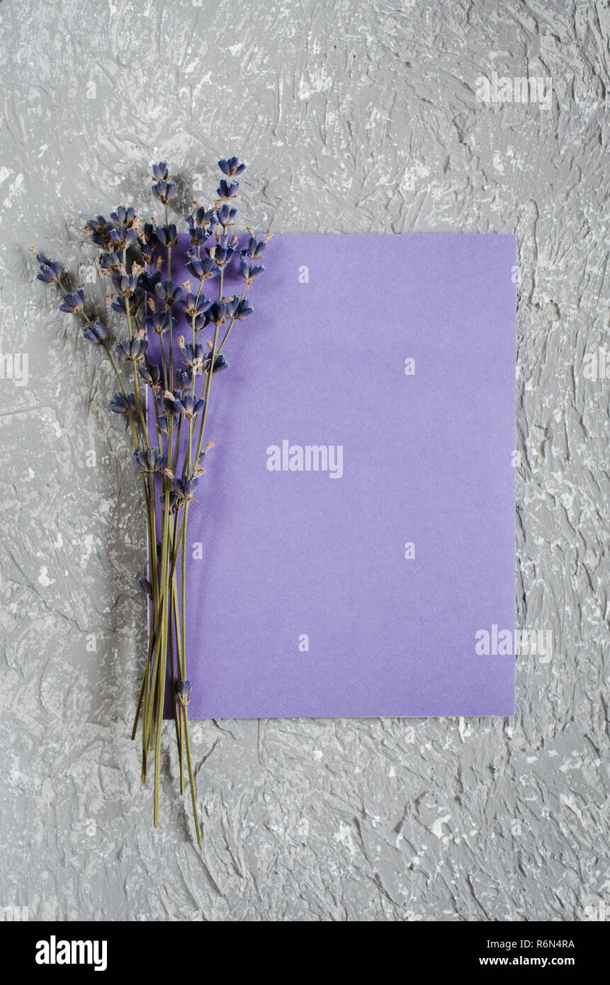 Holiday background or greeting card with lavender Stock Photo - Alamy