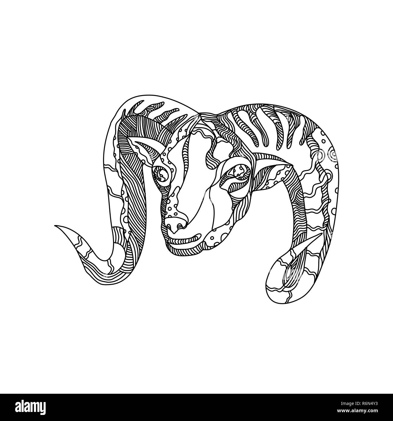 Argali Mountain Sheep Head Doodle Art Stock Photo - Alamy