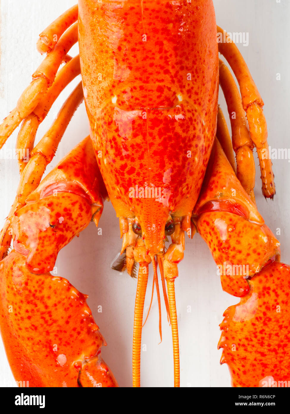 rustic cooked boiled red lobster Stock Photo - Alamy