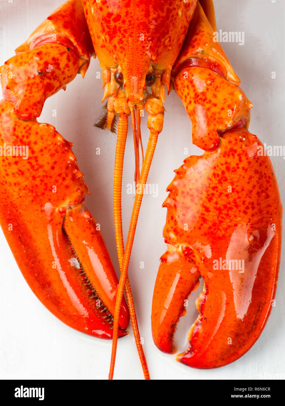 rustic cooked boiled red lobster Stock Photo - Alamy