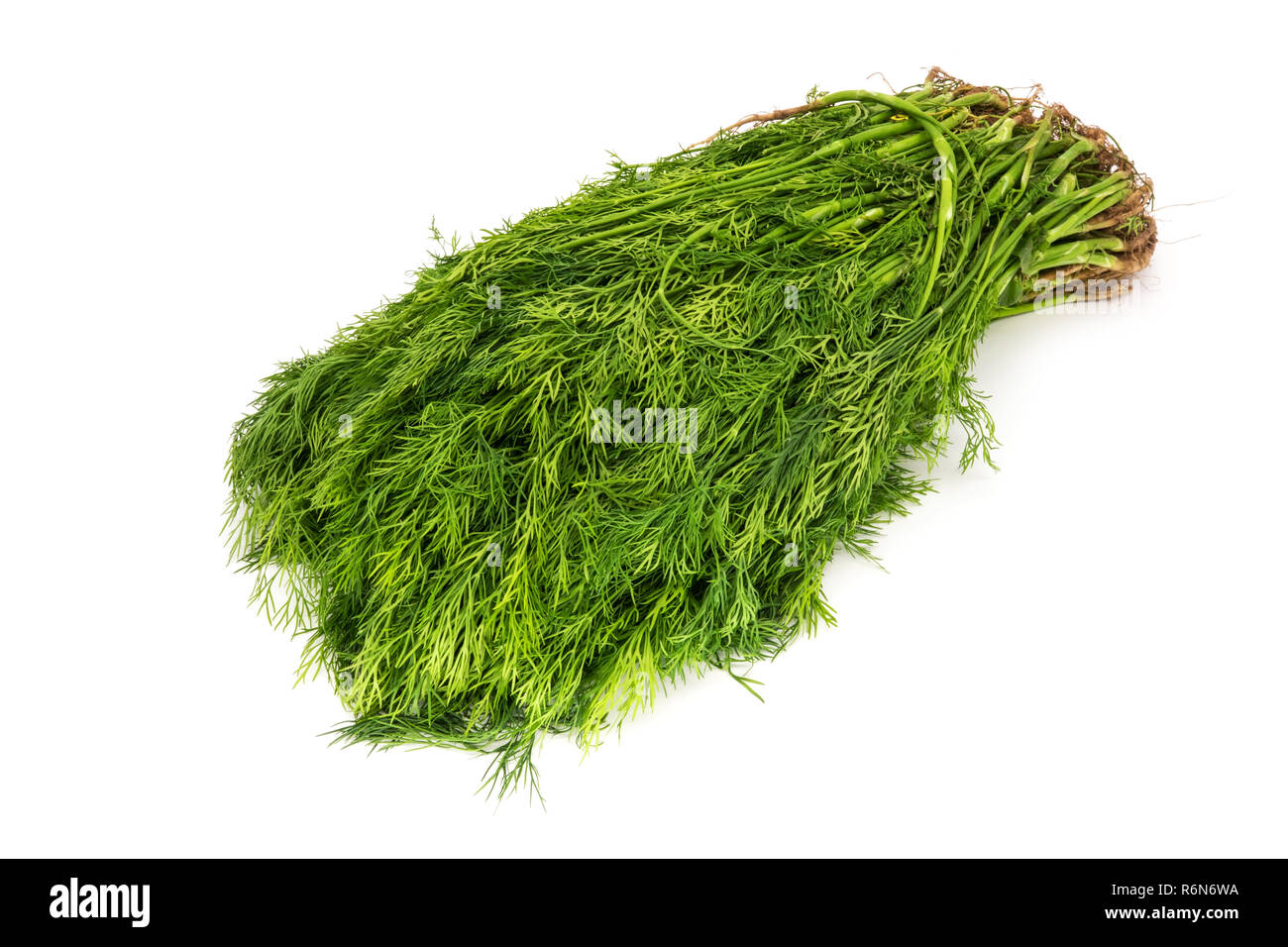 Dille Cut Out Stock Images & Pictures - Alamy