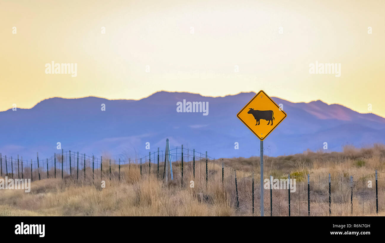 Cattle crossing road sign in Highway 68 Utah Stock Photo - Alamy