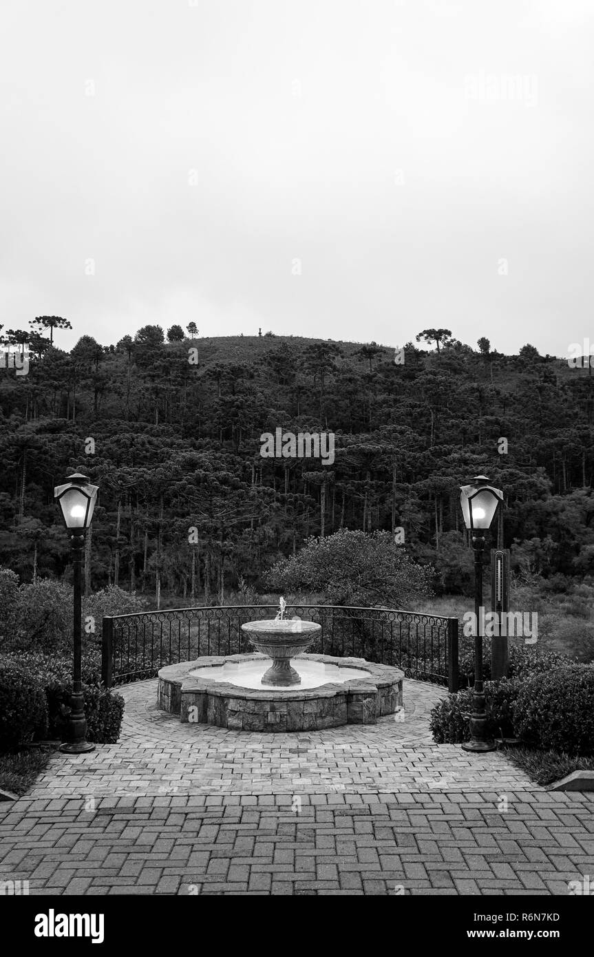 fountain terrace chandelier araucaria woods vegetation view black white ...