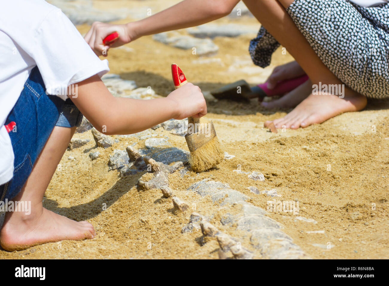 Children are learning dinosaur remains, Excavating dinosaur fossils ...