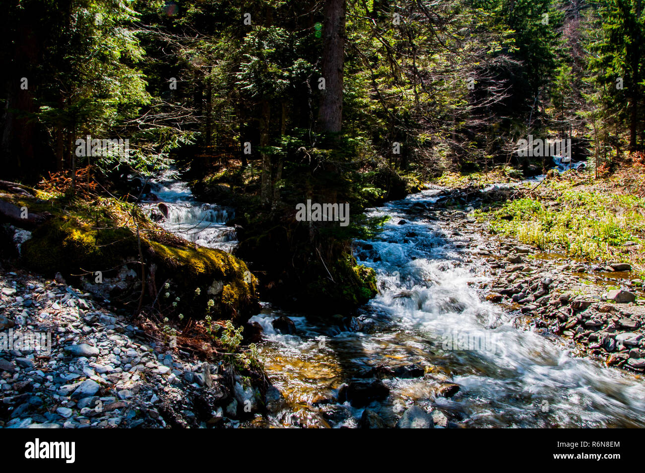 Vranica mountain hi-res stock photography and images - Alamy