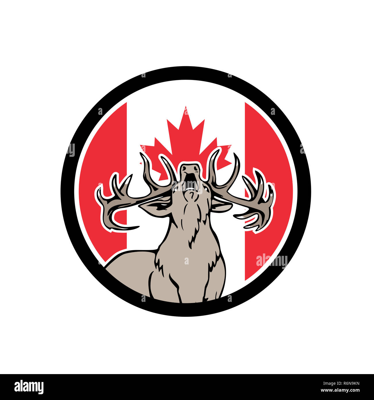 Stag roaring Cut Out Stock Images & Pictures - Alamy