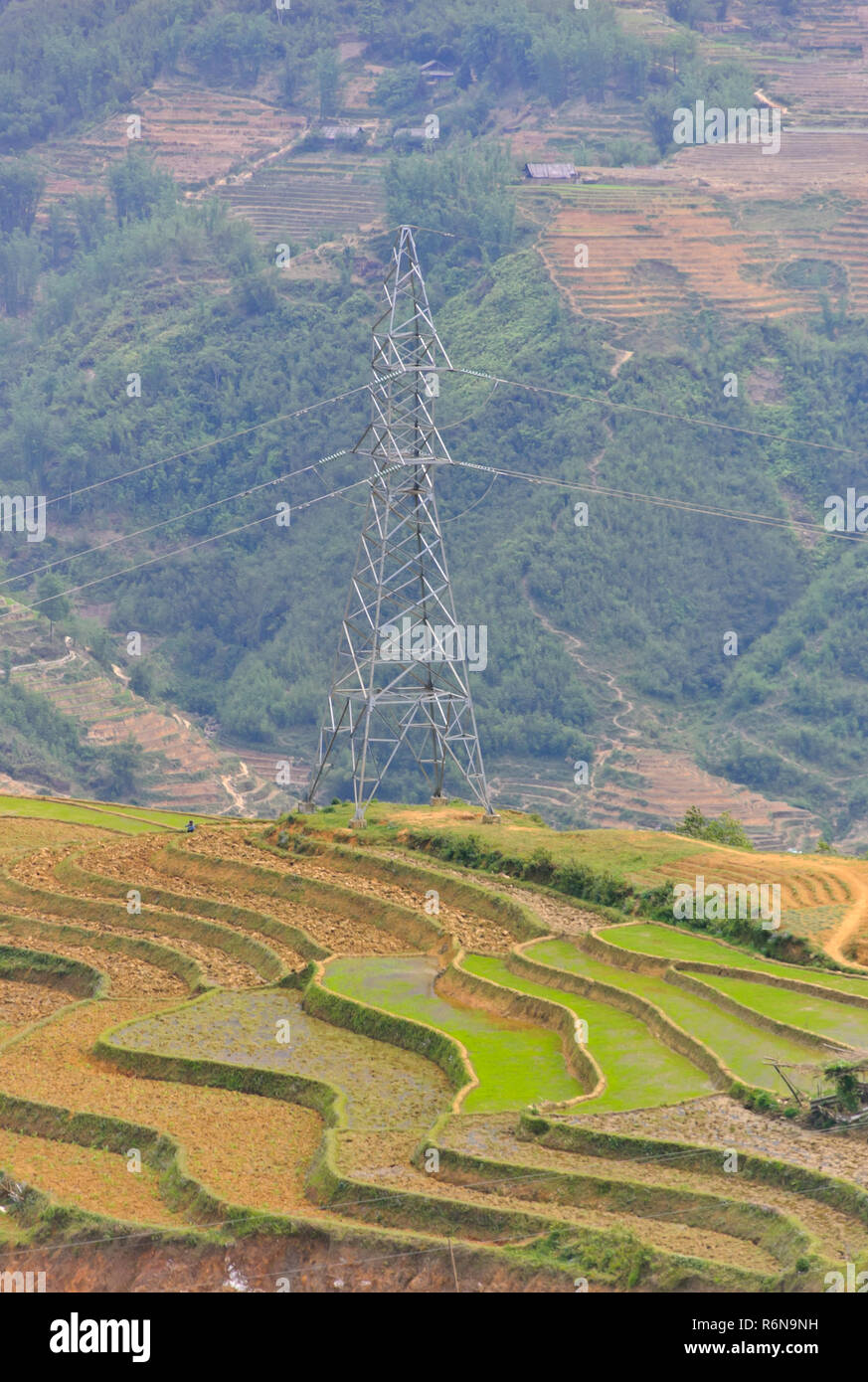 Sapa rice crops and electric high voltage pole on mountain, Vietnam ...