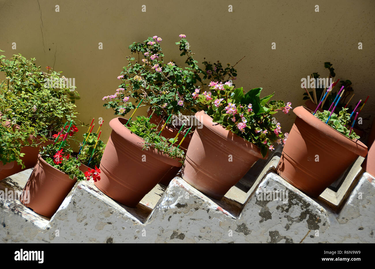 Pfe hi-res stock photography and images - Alamy