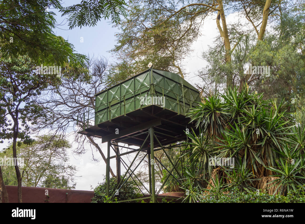 One green water storage tanks on stilts in the savannah of Amboseli ...