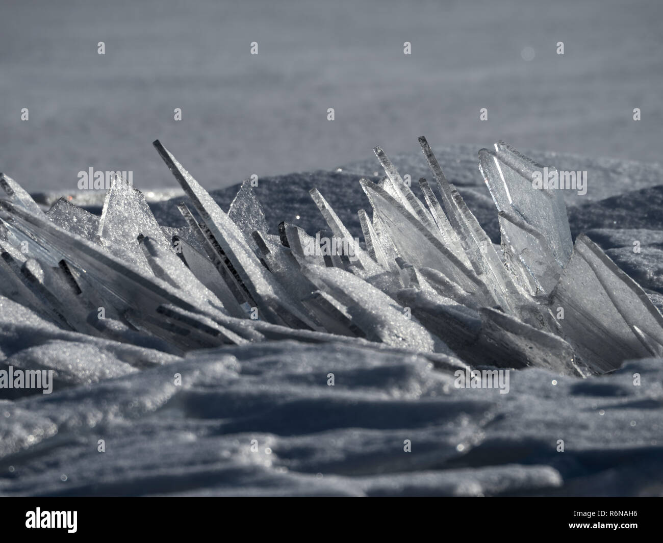Ice field close up view Stock Photo - Alamy
