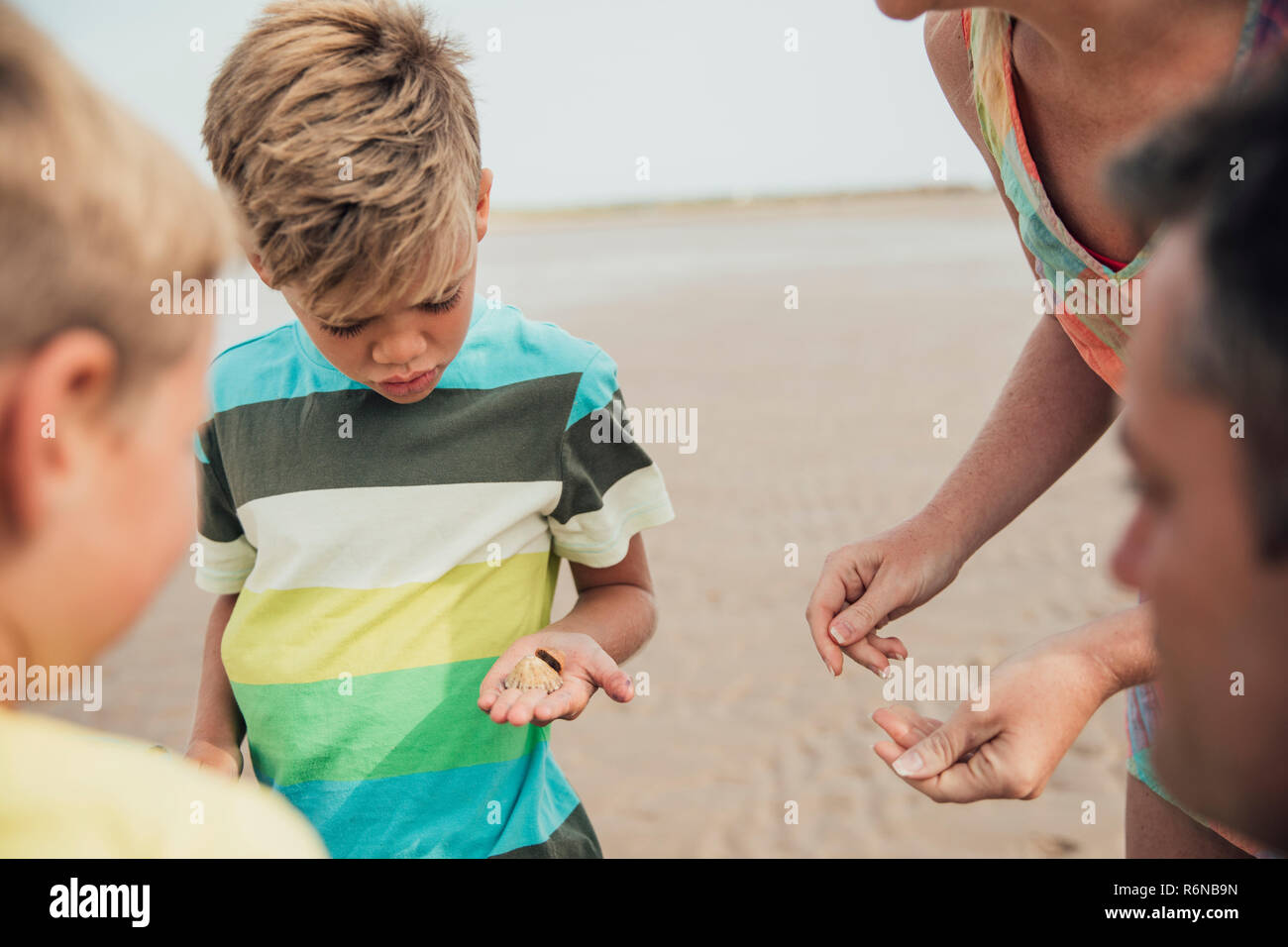 Ma shells hi-res stock photography and images - Alamy