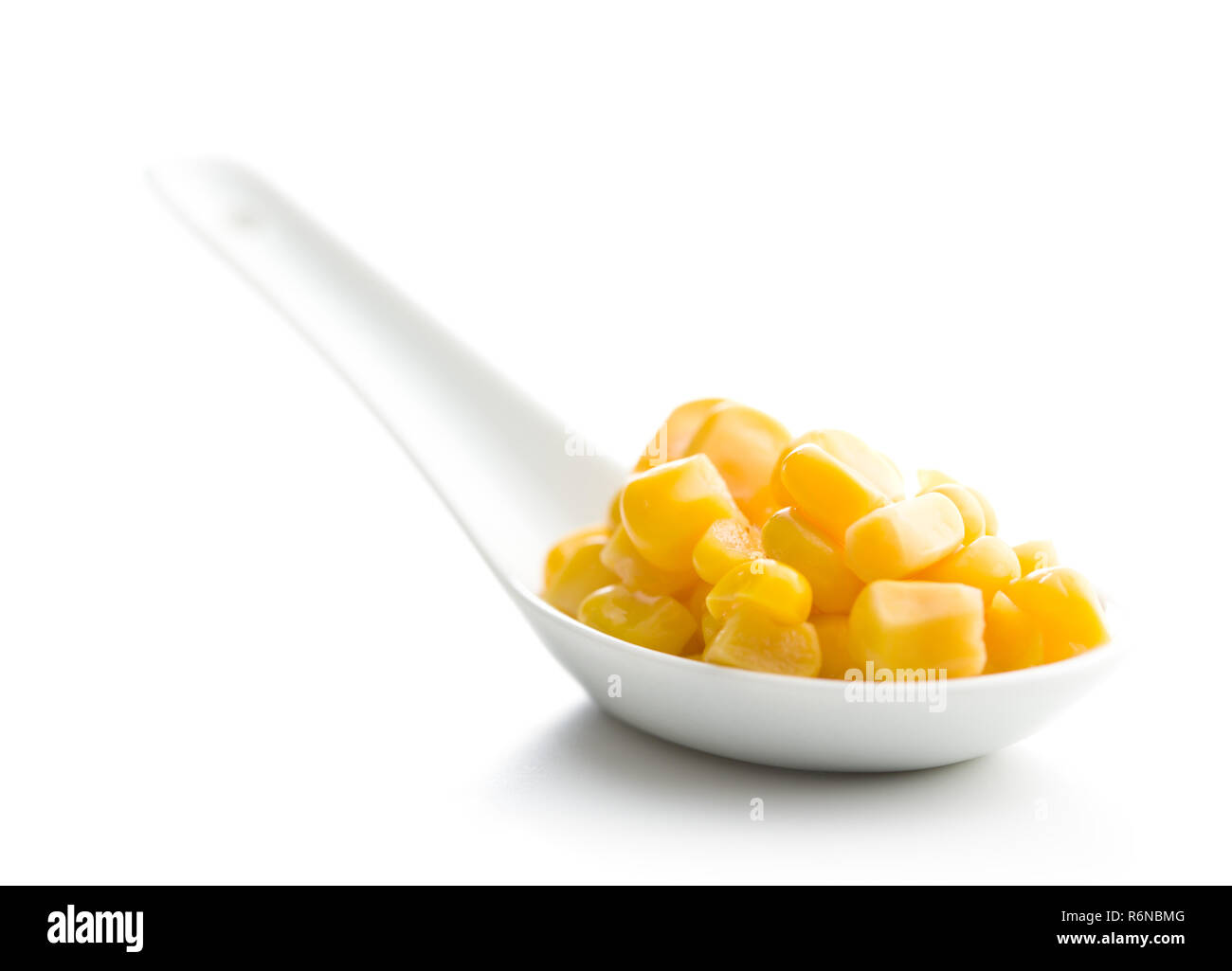 Little corn plant Cut Out Stock Images & Pictures - Alamy
