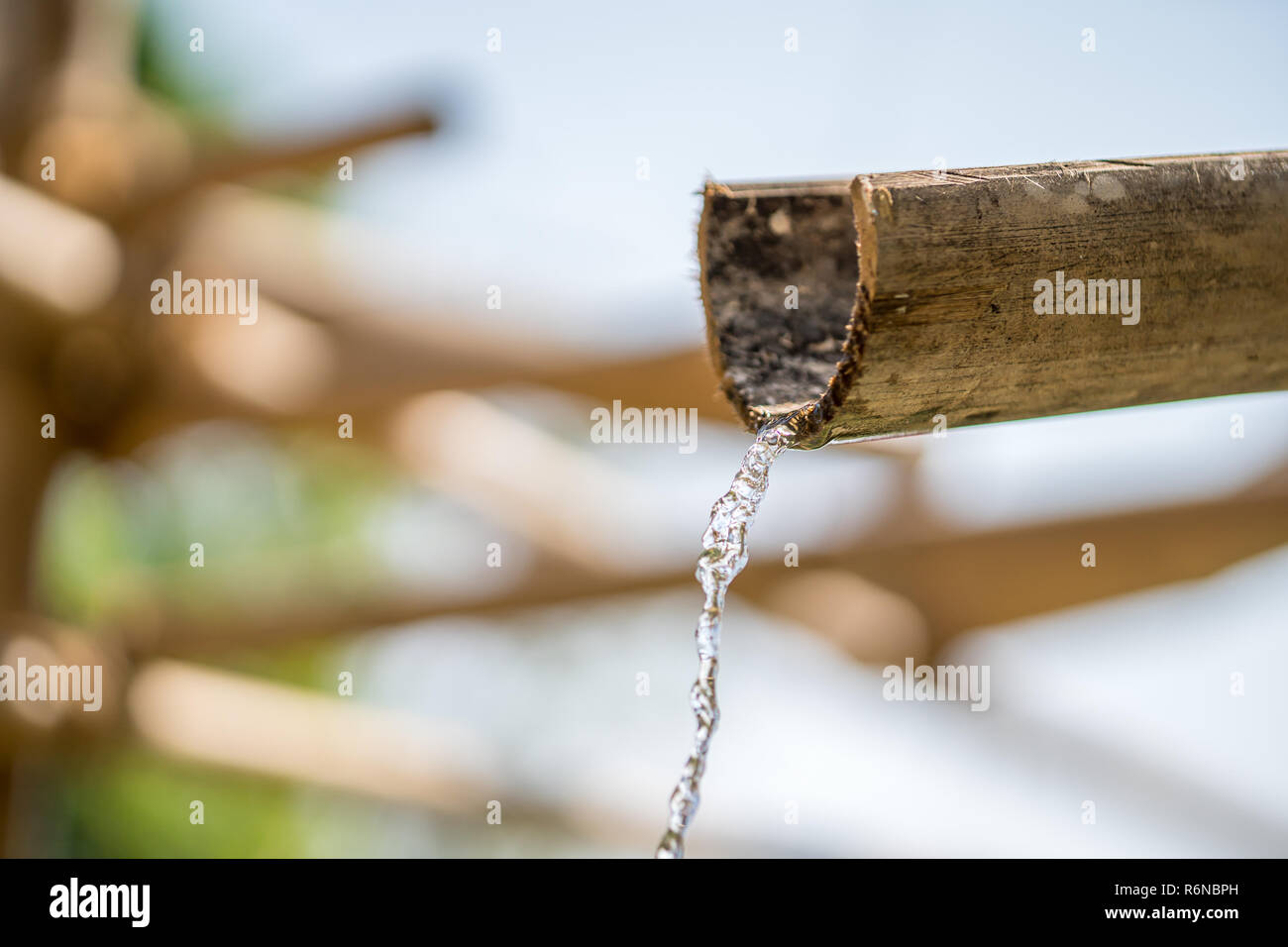 Bamboo fountain with water Stock Photo - Alamy