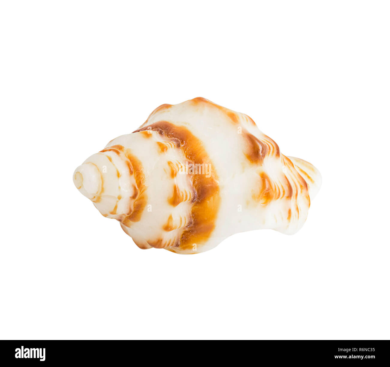 Oceanic view Cut Out Stock Images & Pictures - Alamy