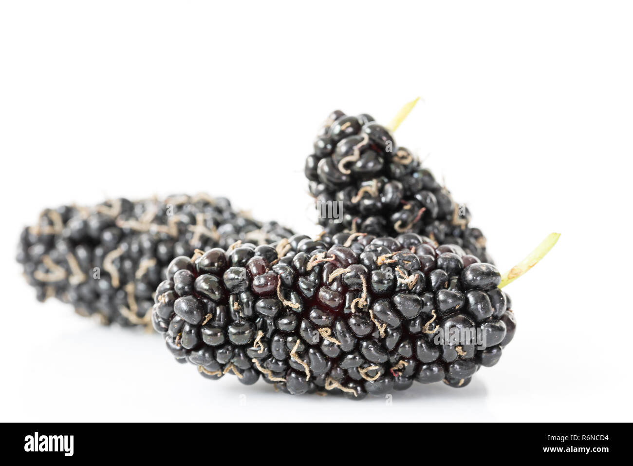 Mulberry isolated on the white Stock Photo - Alamy