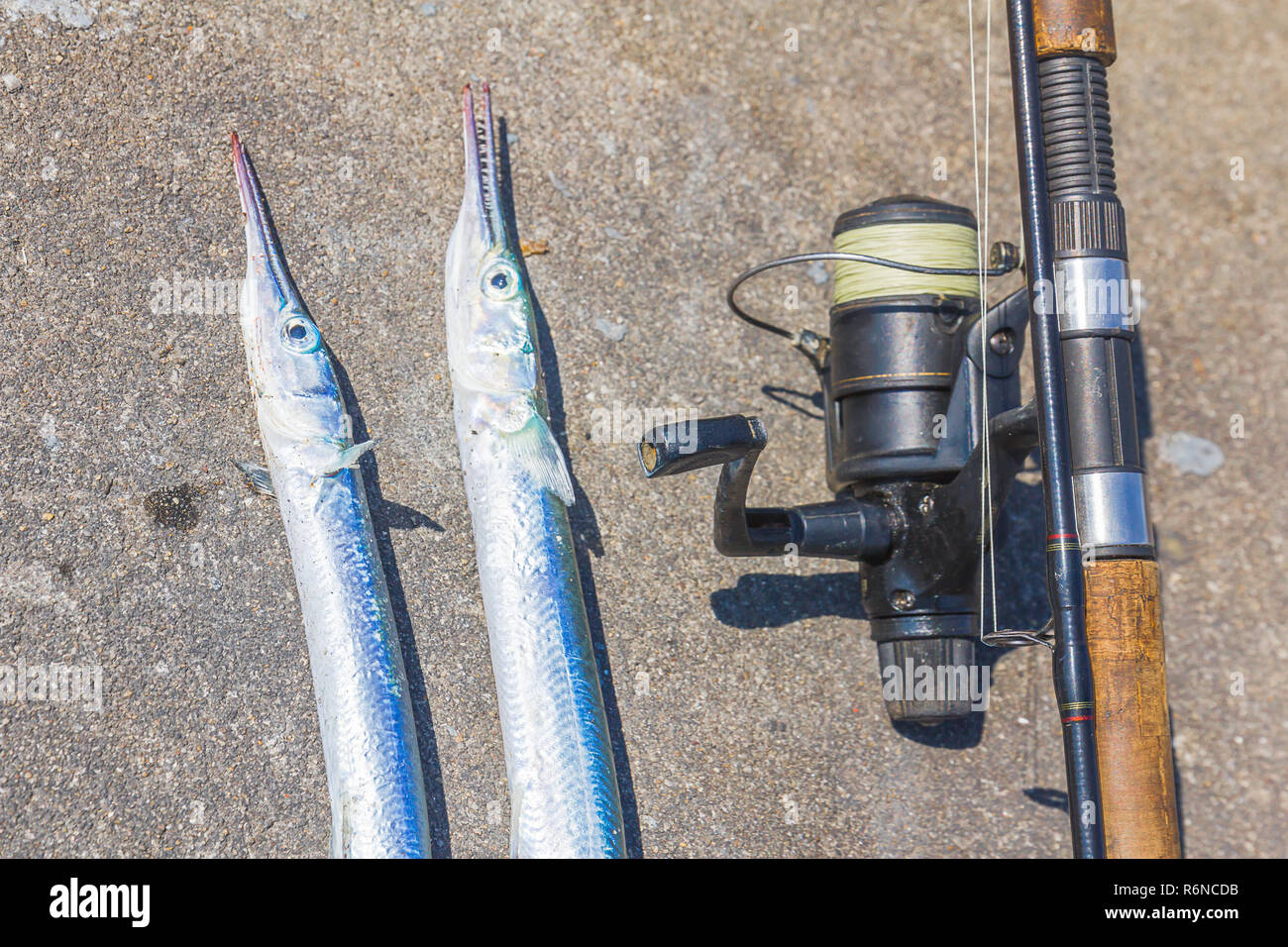 Old fishing rod Stock Photo - Alamy