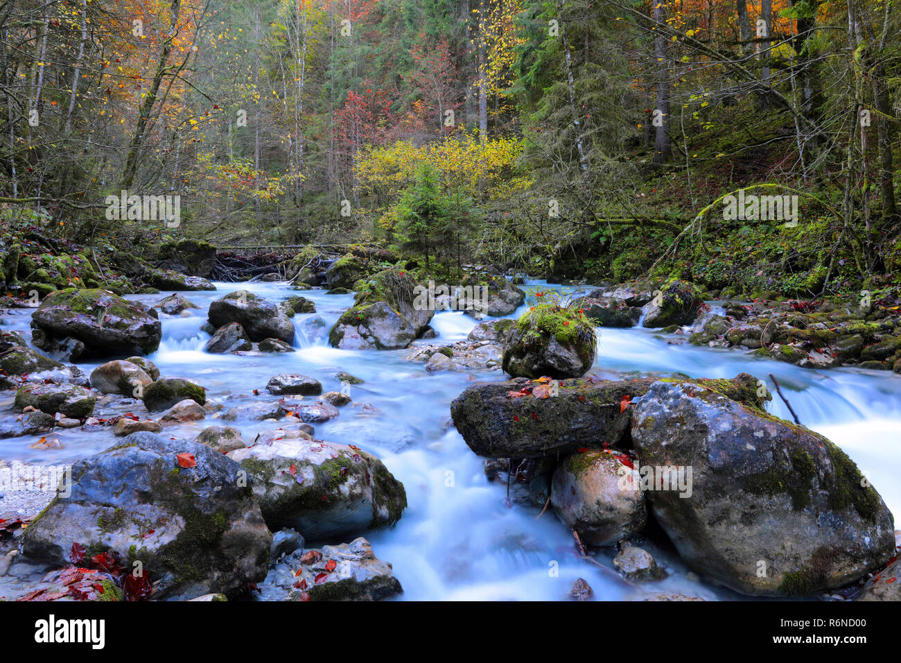 mountain river hammersbach at grainau from the hÃ¶llental at the ...