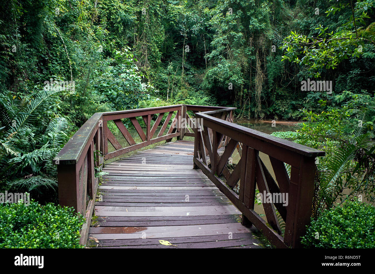 Bosque alemao hi-res stock photography and images - Alamy