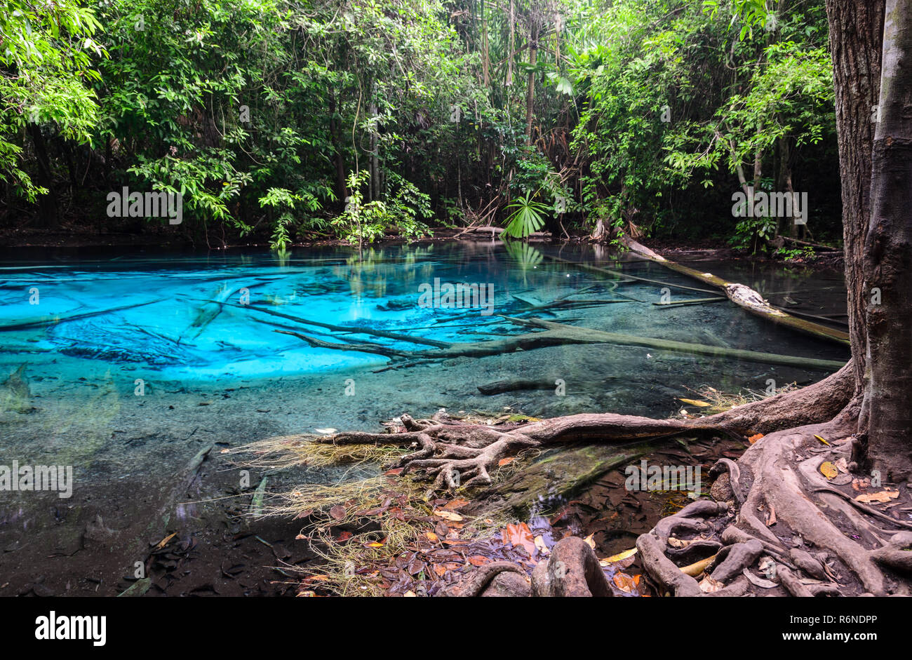 Blue lagoon emerald pool hi-res stock photography and images - Alamy