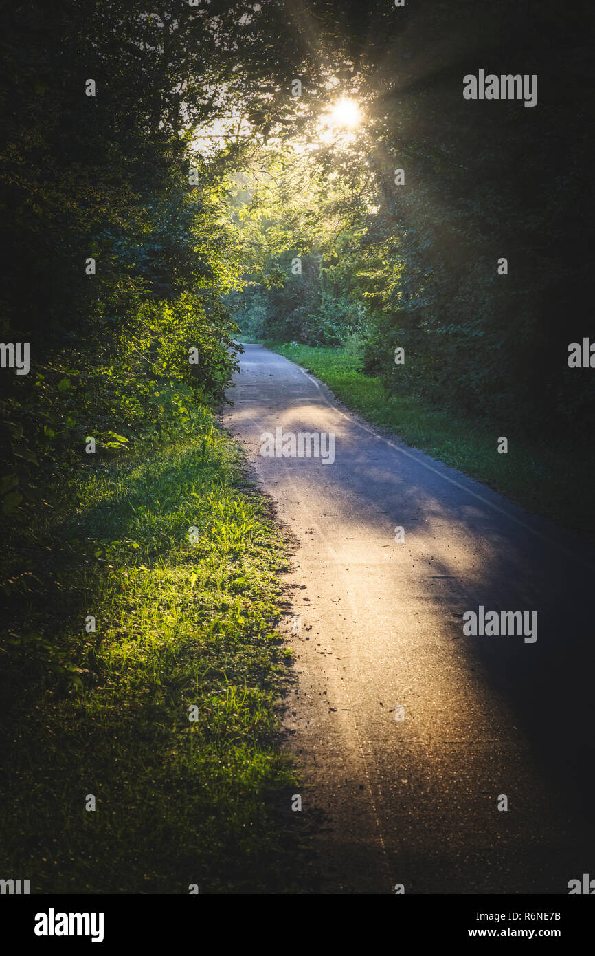 Bike path in a sunny day from Hungary Stock Photo - Alamy