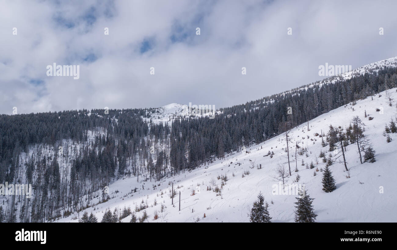 ski resort Jasna Slovakia mountain aerial drone top view Stock Photo ...