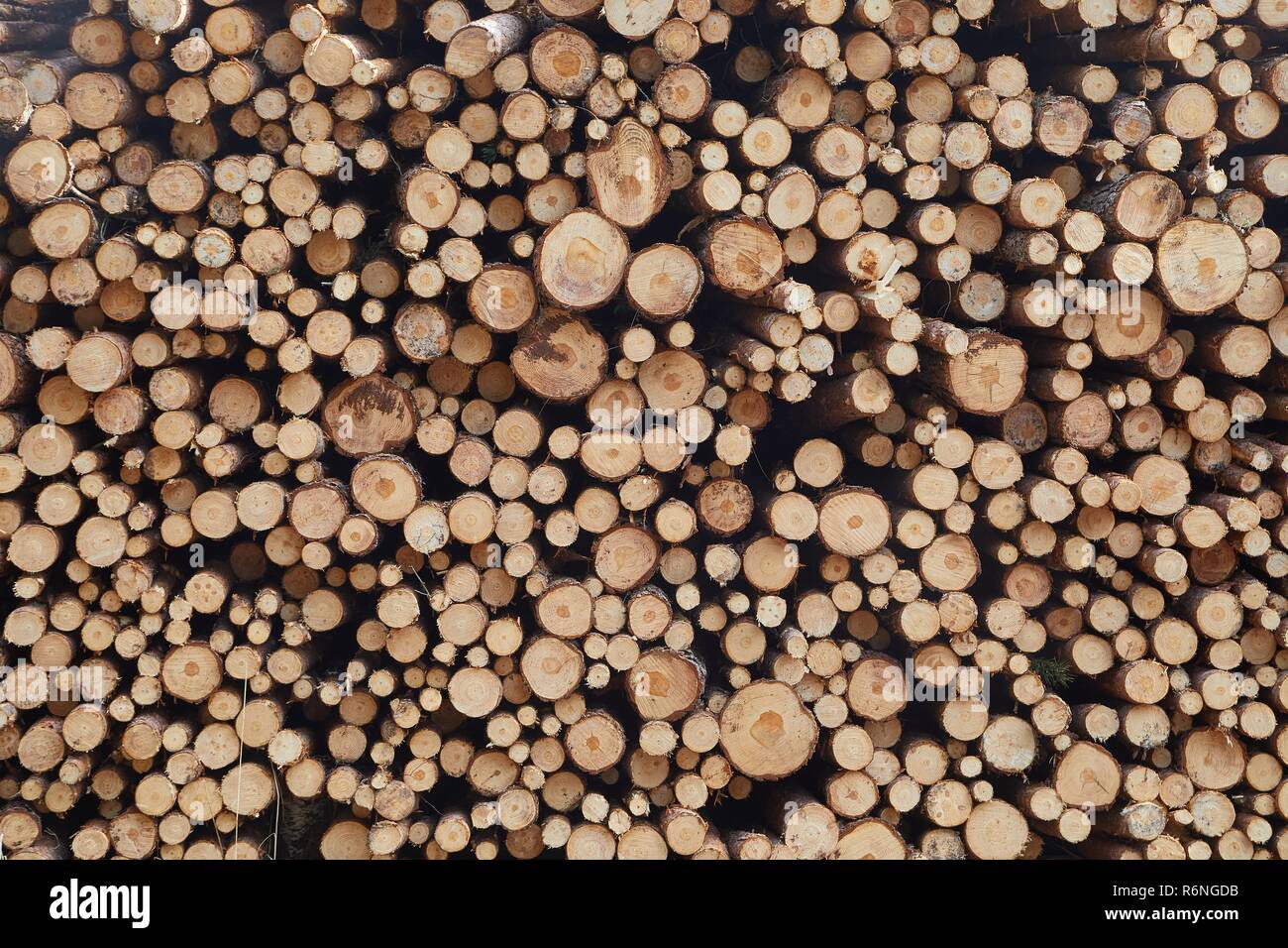 Log wood pile Stock Photo - Alamy