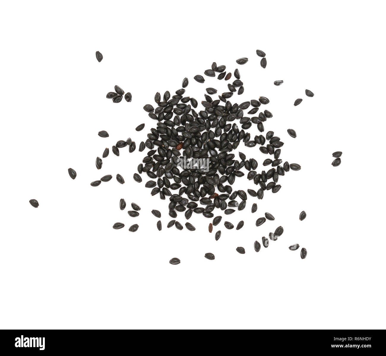 Aquilegia flower seeds Stock Photo - Alamy